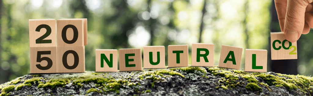 Accompanying Climate Action Plan 2050 - IREES GmbH