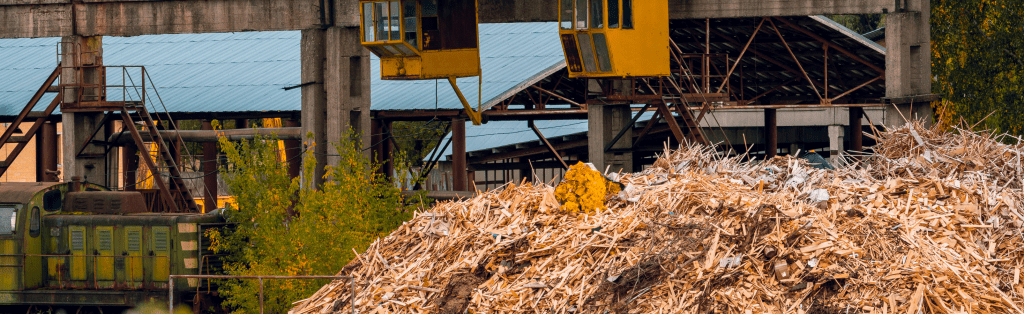 Biomasse- KWK- Anlagen Luxemburg - IREES GmbH